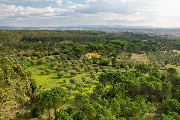 Off-grid Guesthouse Surrounded By Nature - Montemor-o-Velho