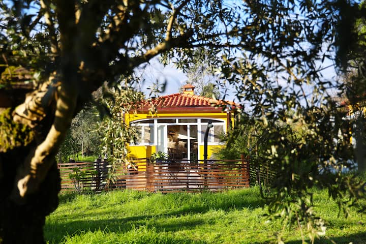 Off-grid Guesthouse Surrounded By Nature - Cantanhede