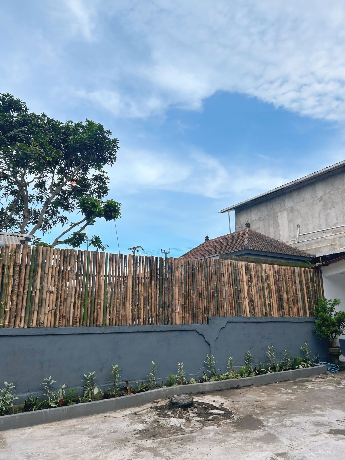 Tree Mango Homestay (Habitación 6) - Casas de invitados en alquiler en ...