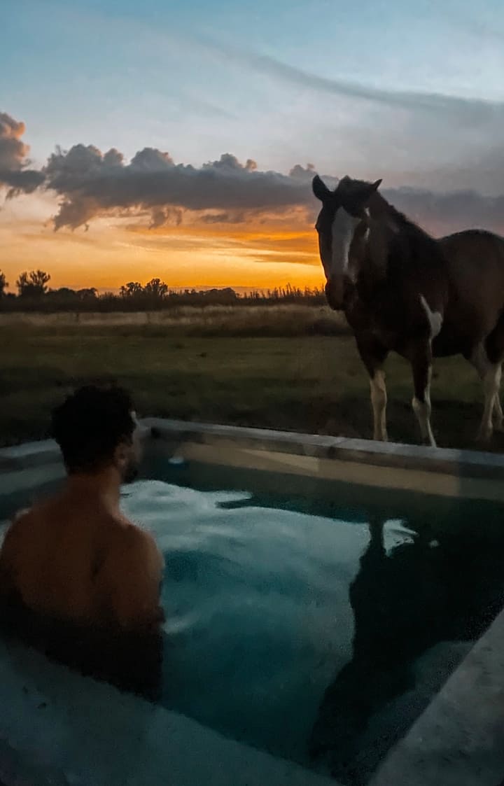 Casa Pampa; Cabaña Rural Con Atardeceres úNicos - Argentina