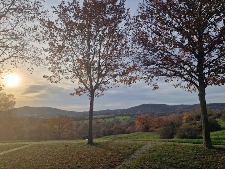 Ferienwohnung Documenta Urbana - Cassel, Allemagne