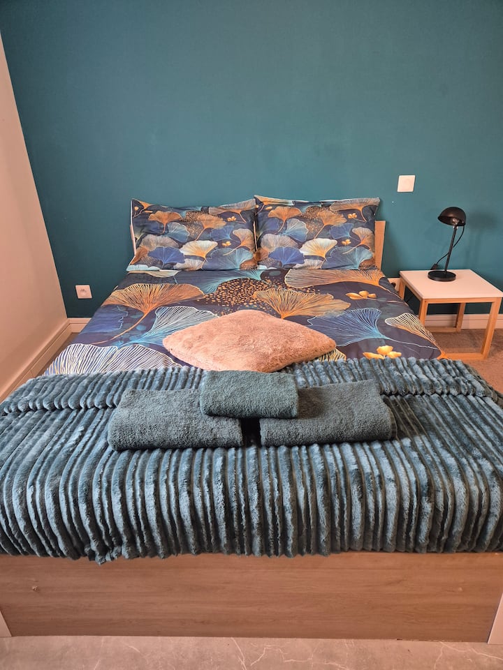 Appartement Lamartine-rdc-indépendant-place Auto - Saint-Gaudens