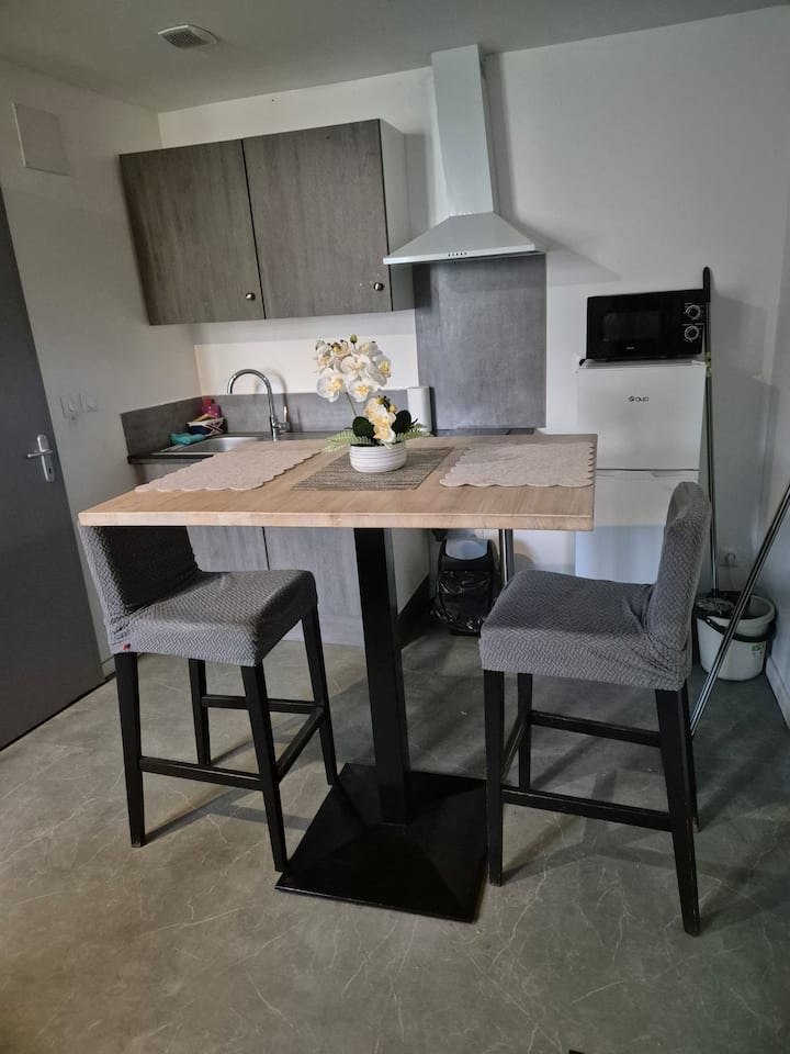 Appartement Lamartine-rdc - Saint-Gaudens