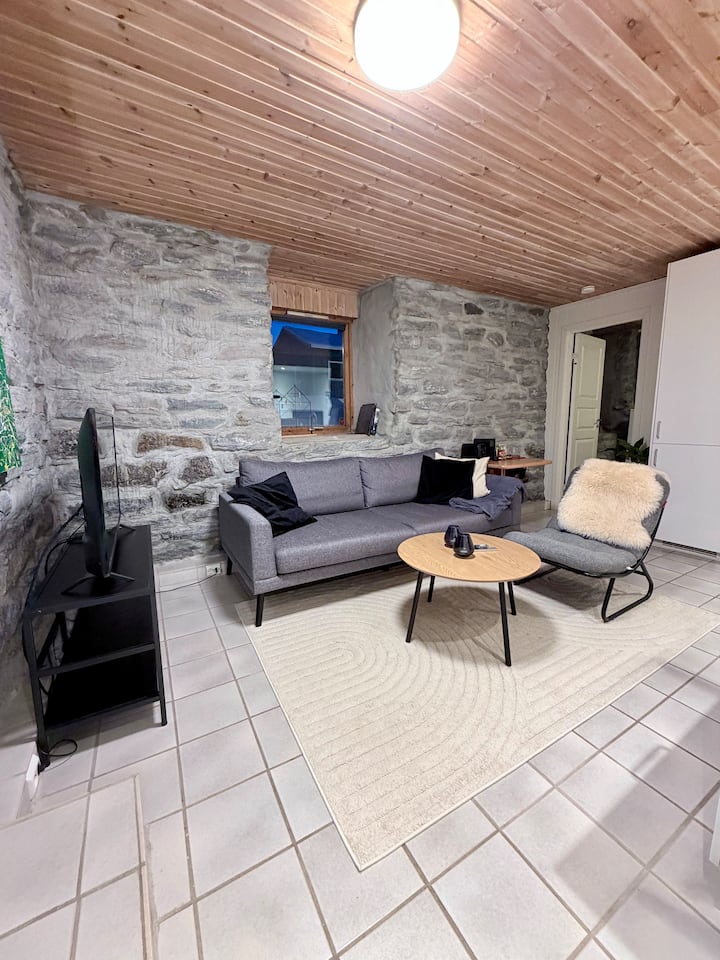 Cozy Apartment - Walking Distance To City Center - Norwegia