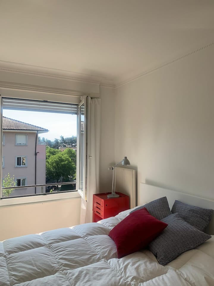 Appartement 2 Pièces, Calme, Av. De Cour - Lausanne