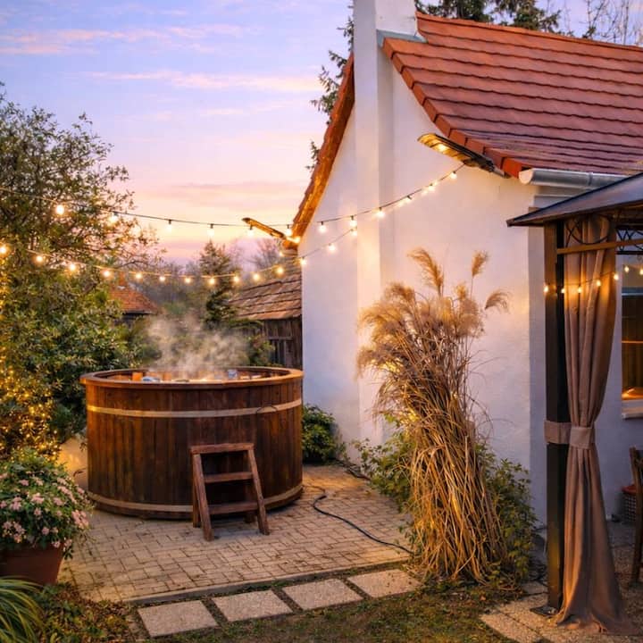 Dézsafürdős, Skandi Stílusú Kutyabarát Otthon - Hongrie