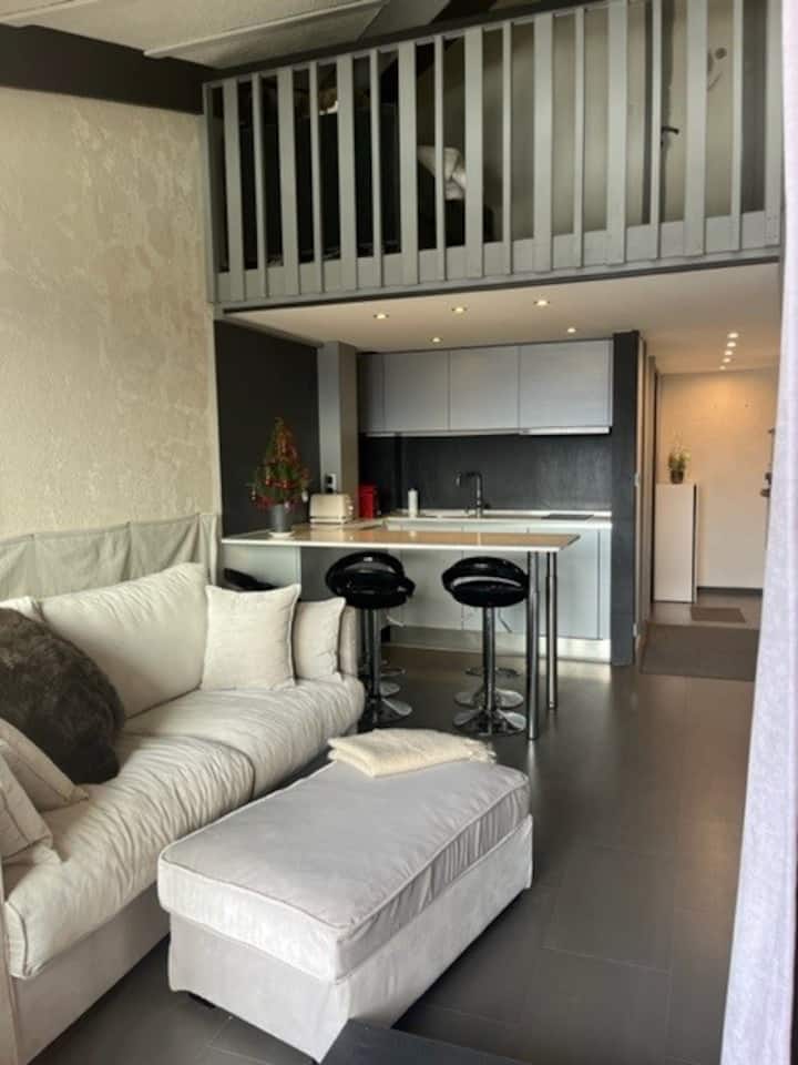 8couchages Pied Des  Pistes, Exposition Sud ! - L'Alpe d'Huez