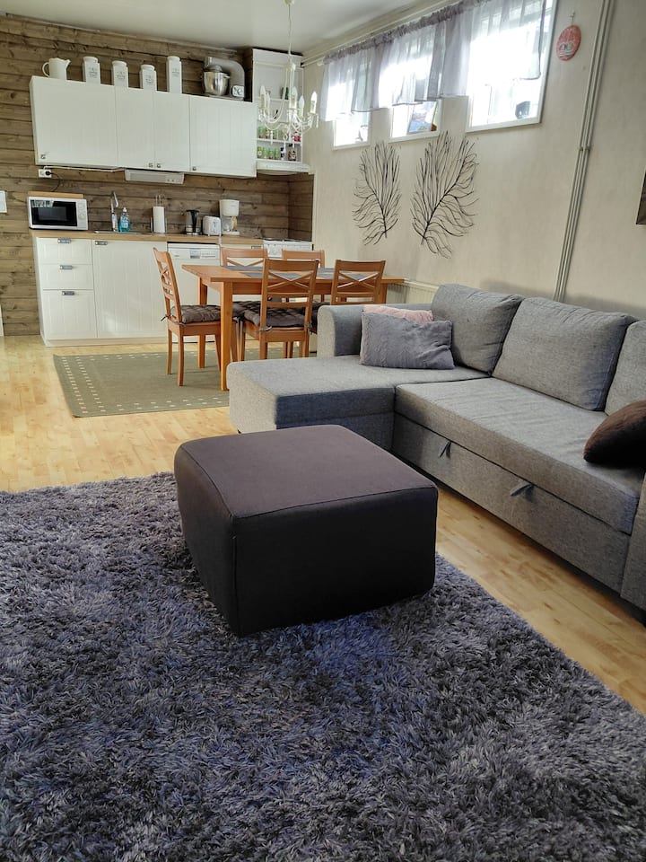 Havina Hideaway (Ilmainen Wifi Ja Pysäköinti) - Rovaniemi