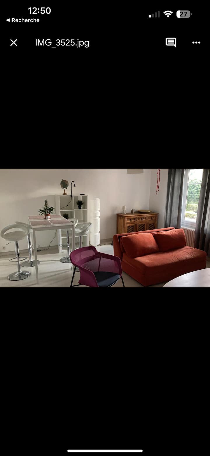 Appartement Centre-ville Magnifique - Sochaux