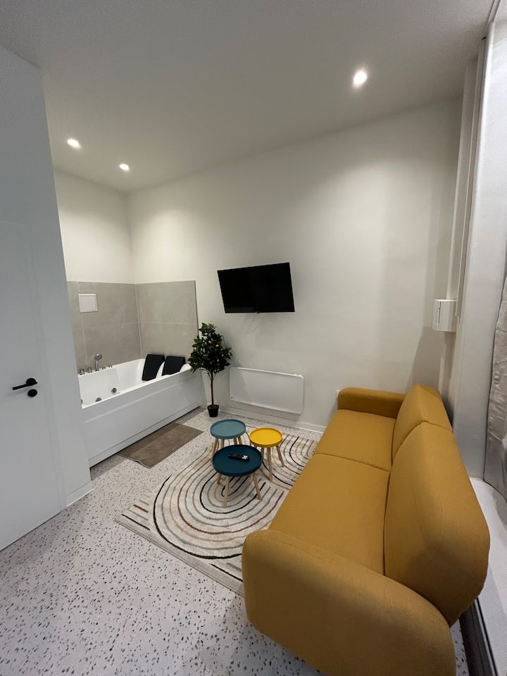 Appartement Moderne Avec Jacuzzi - Strasburgo