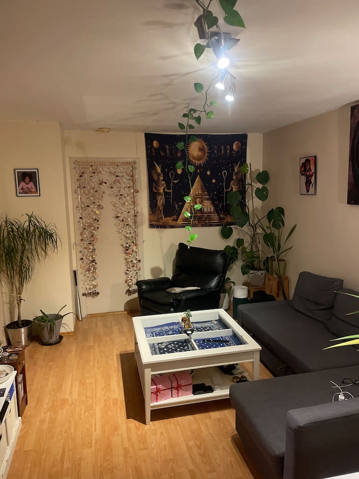 Cool And Earthy Apartment In The City Center - Oslo