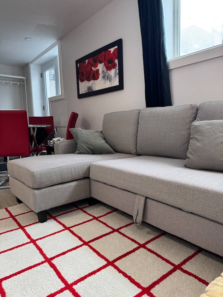 Private Furnished Basement W/ Separate Entrance - Ottawa