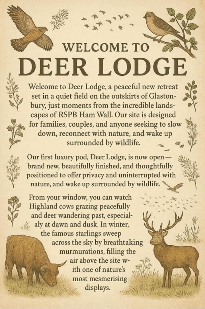 Brand New Log Cabin In The Beautiful Countryside. - Glastonbury