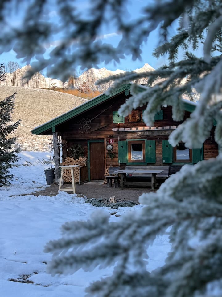 Jetzbach Hüttn In Maria Alm, 2min Zum Skigebiet - Saalfelden am Steinernen Meer