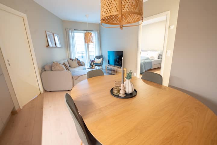 Sjarmerende Leilighet Med Parkering I Sentrum - Oslo