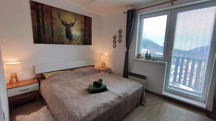 Apartmán Anjel - ŠAfrán 2, Donovaly - Donovaly