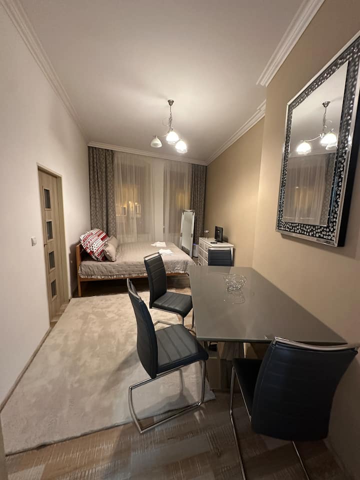 ÚTulný Byt Nedaleko Vřídla V Srdci Karlových Varů - Karlovy Vary