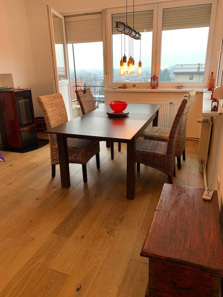 Vp Apartment, Spacious, Central, Free Parking - Ljubljana