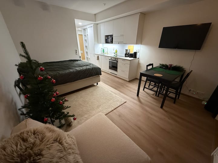 Northern Night Studio 2 - Lapland