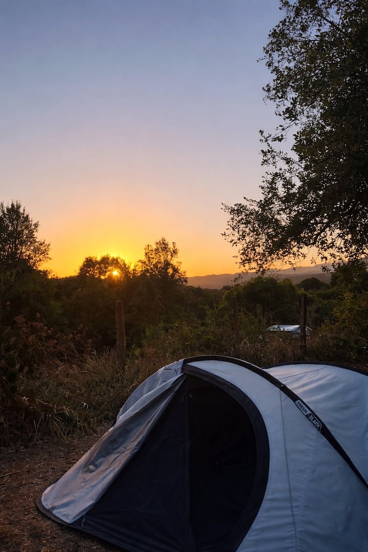 Tente Dans Un Jardin Naturel, Plage à 5 Min - Corsica