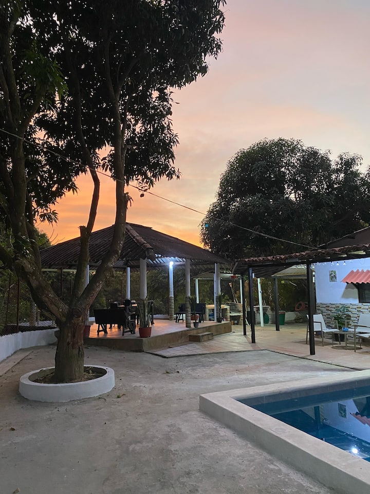 Minca Milagro Verde - Minca