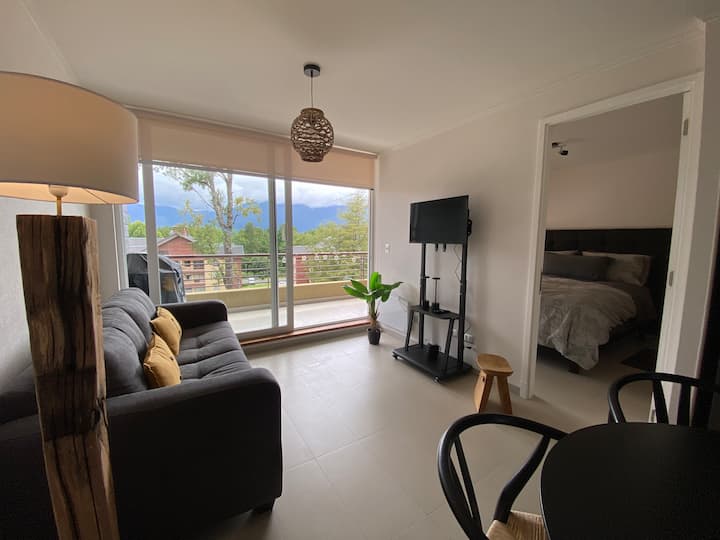 Lindo Departamento Nuevo Y Amoblado - Pucon