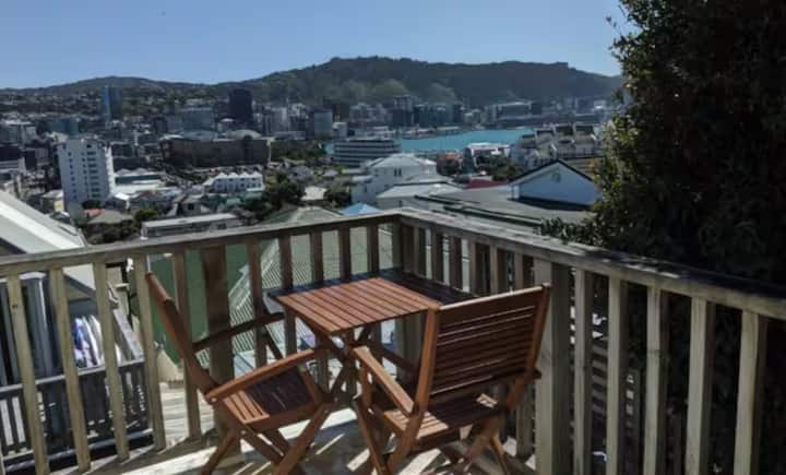 Welly Views Mt Vic, Close To Cbd - Wellington