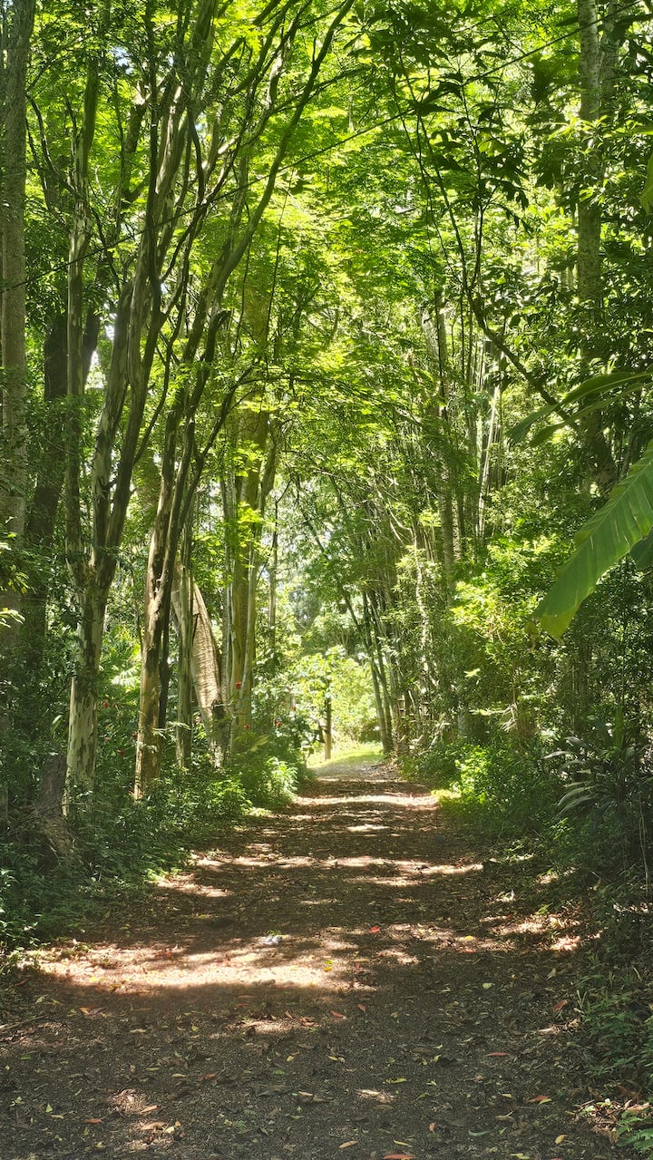 The Hideaway, A Spacious Rural Retreat For Two - Lismore