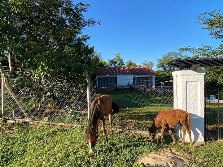Near Altos & Sanber -Wifi Aircon Pool Garden Pets - Paraguay