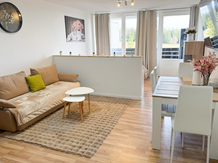 Top View - Freudenstadt