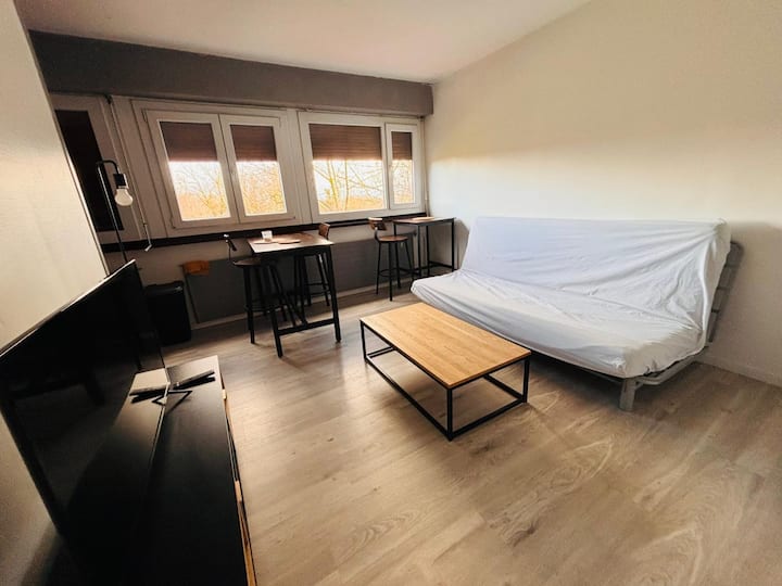 Studio Tout Confort 4 Pers Parking Gratuit Wi-fi - Saint-Genis-Pouilly