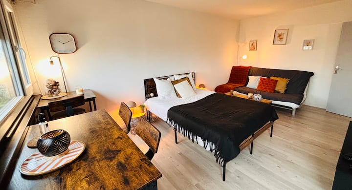 Studio Tout Confort 4 Pers Parking Gratuit Wi-fi - Versoix