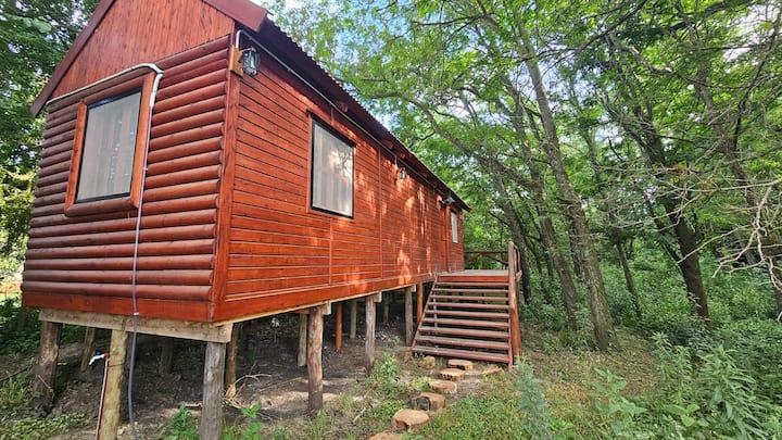Cabañas Natural
Del Bosque - Victoria, Argentine