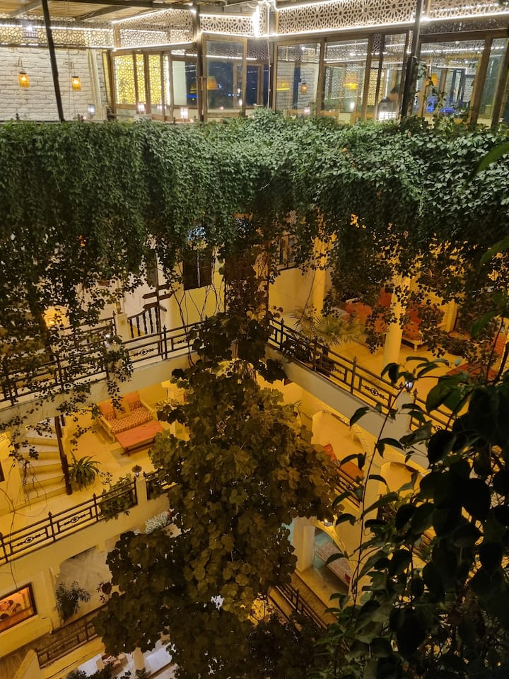 Your Cosy Little Heaven In Pushkar(grace) - Pushkar