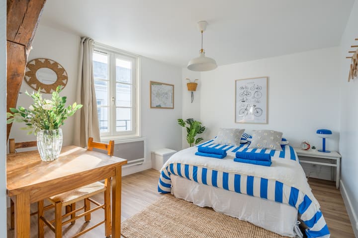Le Cocoon Bleu – Charmant Studio - Tours
