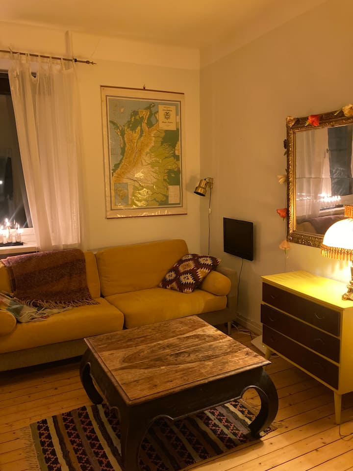 Egen Lägenhet I Majorna! - Göteborg