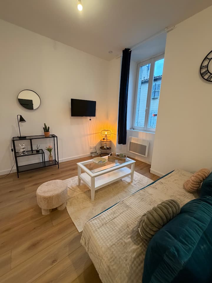 Studio Cosy, Calme & Confort - Mazamet