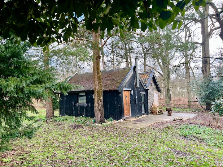 Forest Cabin - Norfolk