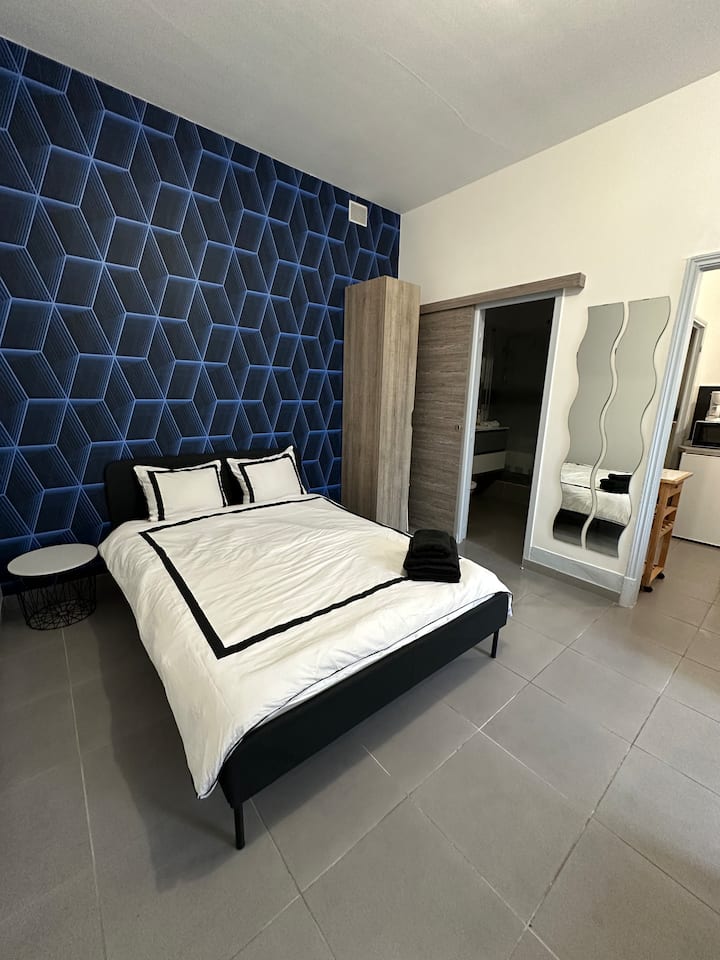 Appartement Au Cœur D’auxerre Spacieux / Lumineux - Auxerre