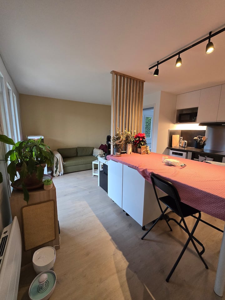 Appartement Avec Une Chambre Et Un Jardin - Divonne-les-Bains