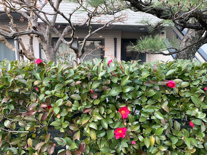 Comfortable Japan Life♫tatami Room & Lovely Garden - Hiroshima