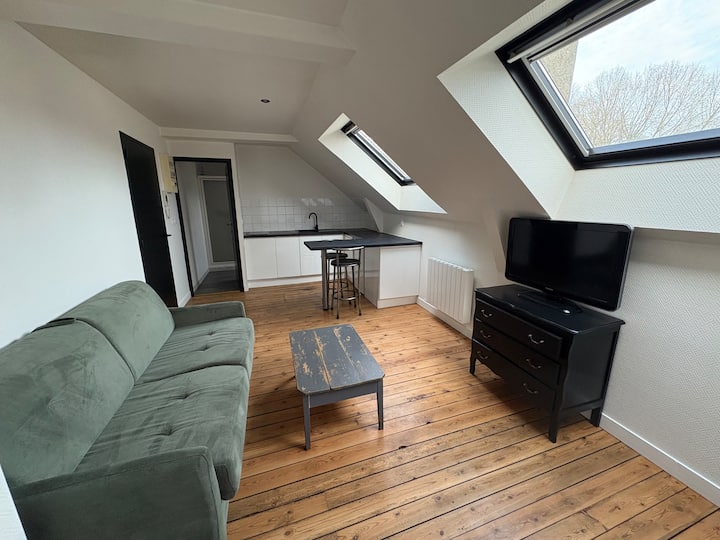 Studio Centre-ville - Laval, France