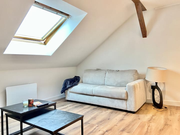 Cosy Apartment In The Heart Of Strasbourg - Estrasburgo