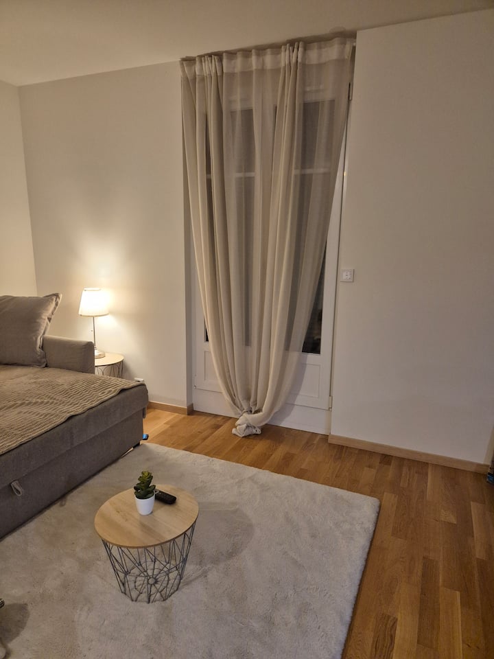Appartement Cosy Genève - Genève