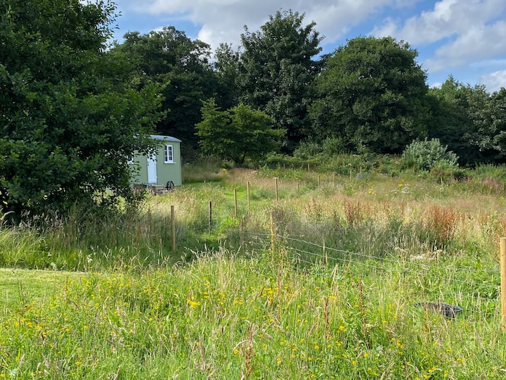 Tranquil Island Shepherd Hut - Isle of Arran