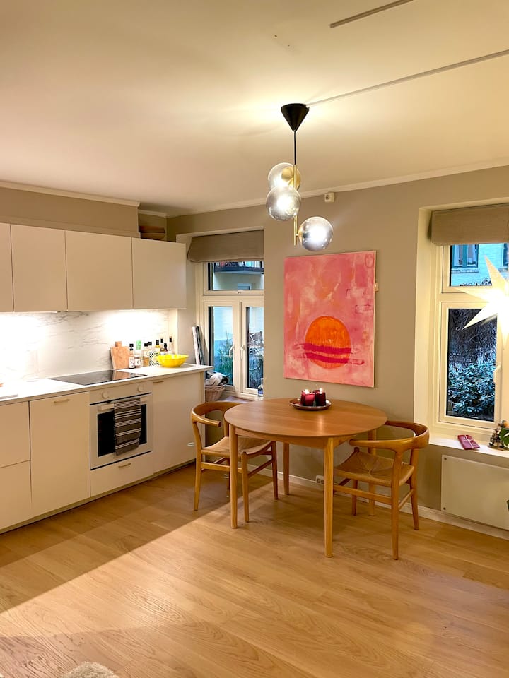 Koselig Leilighet Midt På St.hanshaugen - Oslo