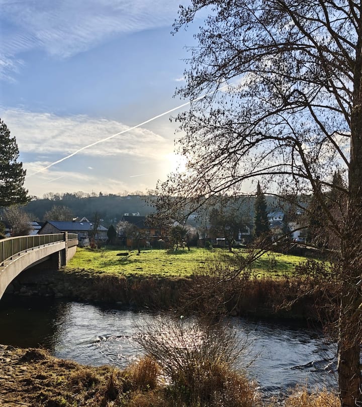 Ferienhaus Wintergarten/eifel/8 Pers/2 Hunde/kamin - Schleiden
