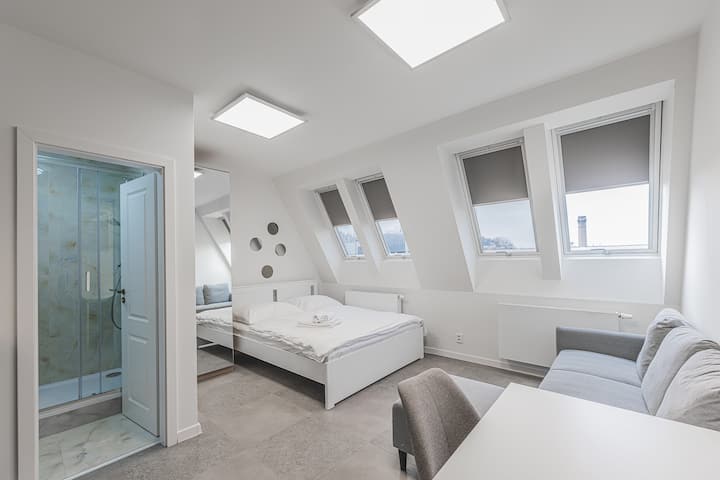 Flat In A Calm Neighbourhood - Prague