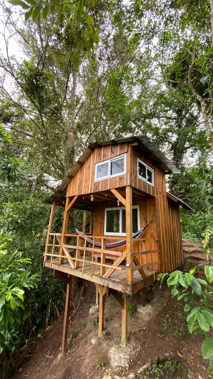 Cabaña En El Bosque - Honduras