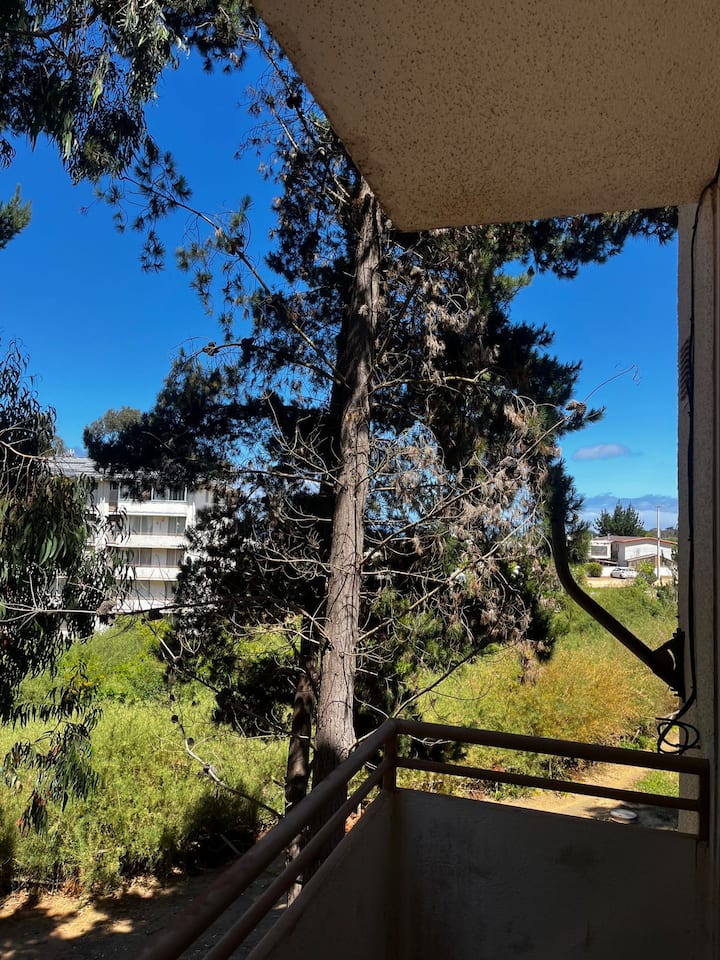 Acogedor Departamento Familiar  En El Tabo - El Tabo